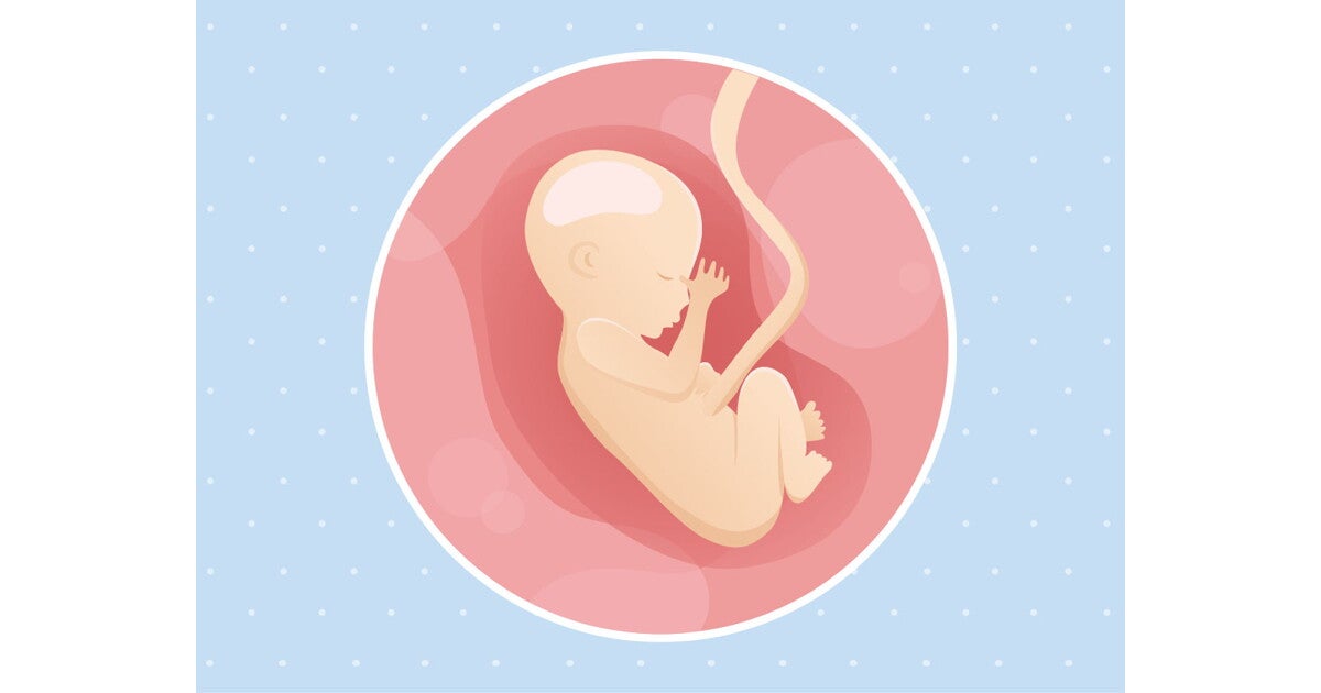 17-weeks pregnant: baby development and diet