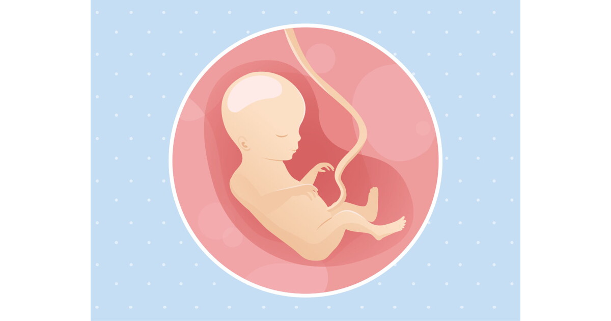 18-weeks pregnant: baby development and diet