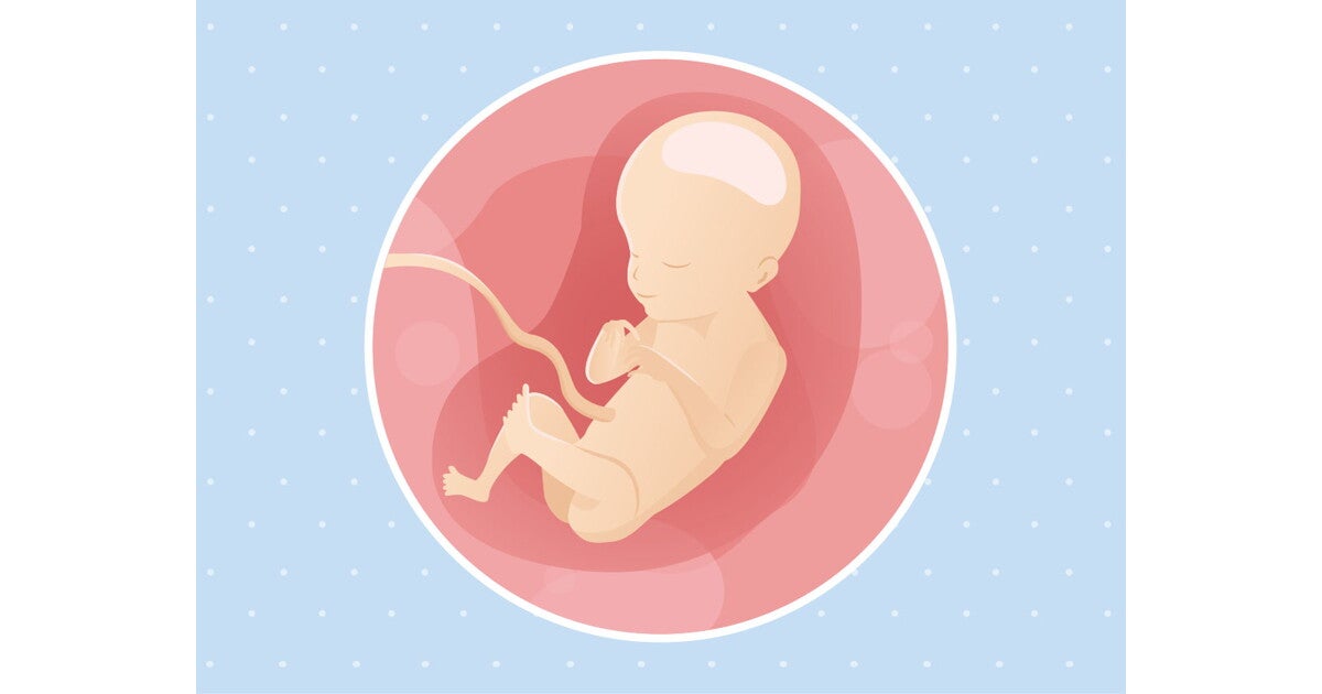 21-weeks pregnant: baby development and diet