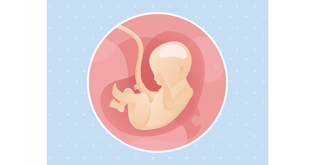 22-weeks pregnant: baby development and pregnancy diet