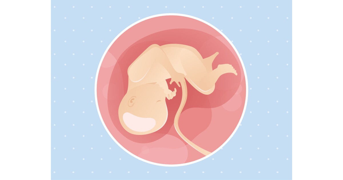 34-weeks pregnant: baby development and diet