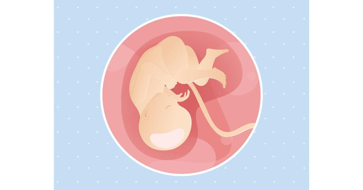 35-weeks pregnant: baby development and diet