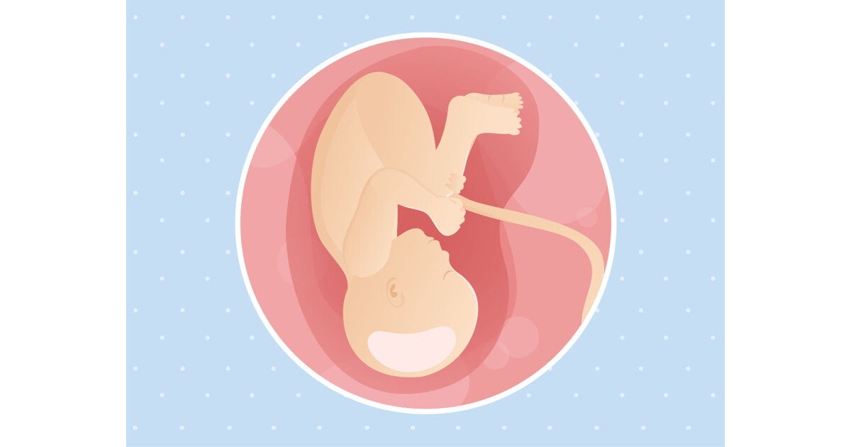 38-weeks pregnant: baby development and diet