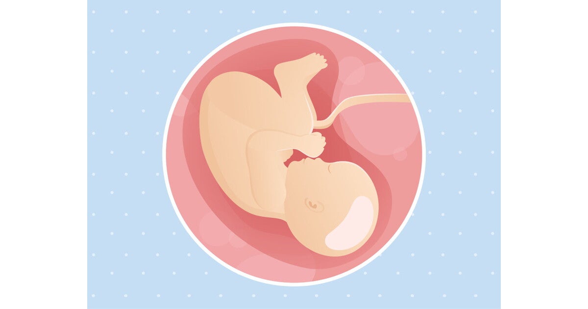 40-weeks pregnant: baby development and diet